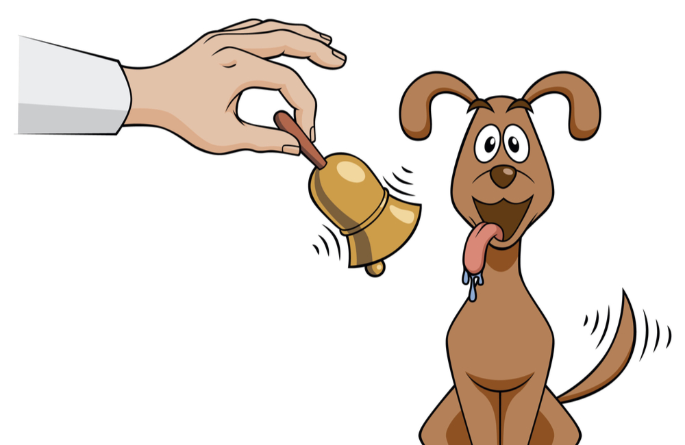 Pavlov’s Dogs Drool Again - The Daily Reckoning