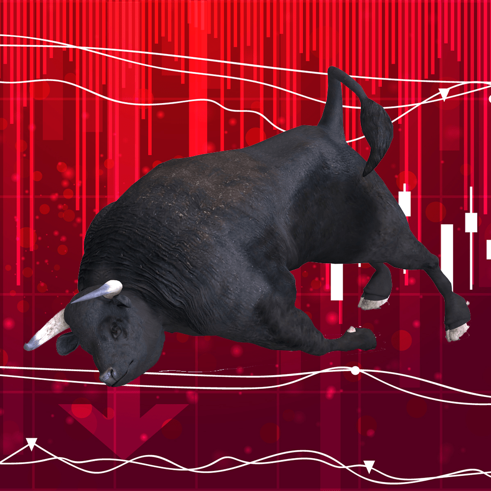 R.I.P.: Requiem for a Bull - The Daily Reckoning