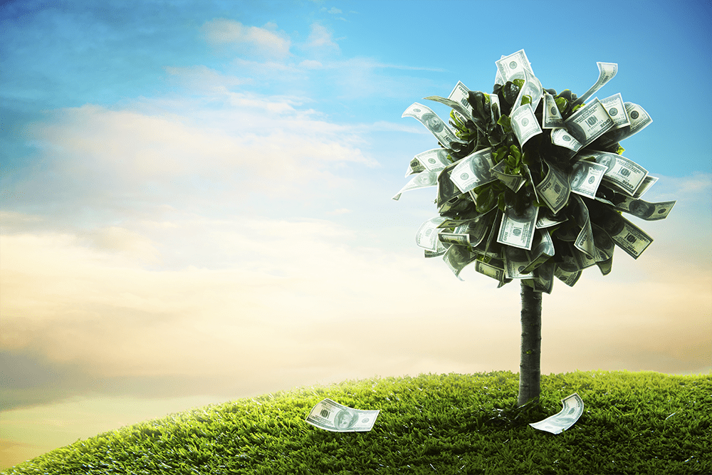 The Fed Isn’t a Magic Money Tree - The Daily Reckoning