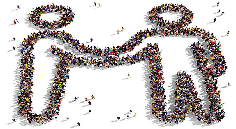 The Social Contract Is Shredded - The Daily Reckoning