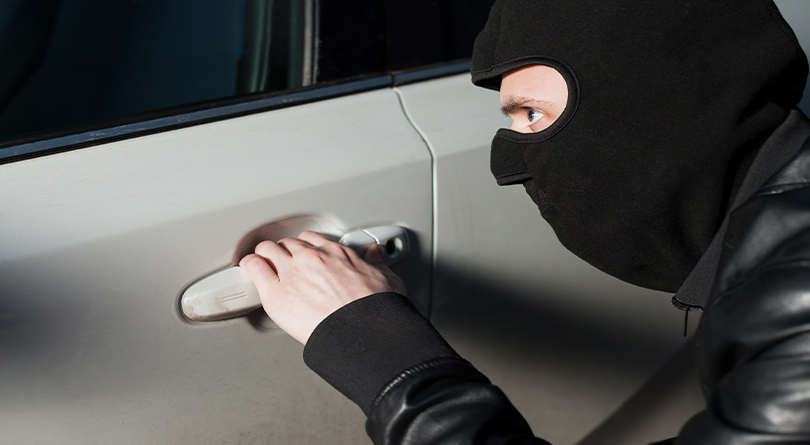 A Carjacking Survival Guide - The Daily Reckoning